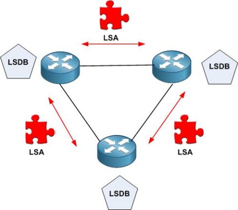 Everything You Need to Know About OSPF on Huawei - NetworkTik