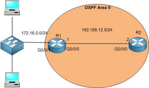 What is OSPF Passive Interface and how configure it in Huawei - NetworkTik