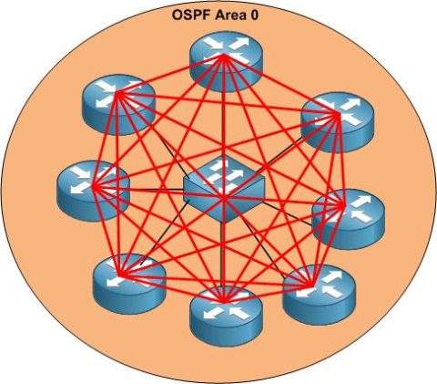 Everything You Need to Know About OSPF Designated Router - NetworkTik