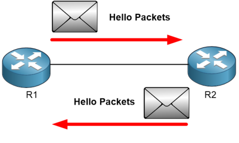 OSPF Hello Packet - NetworkTik